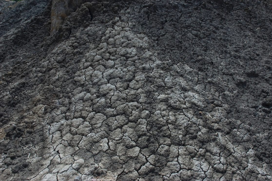 Photography – Margaret Boozer