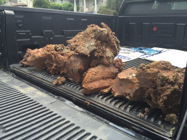 2016 Harbor – Margaret Boozer