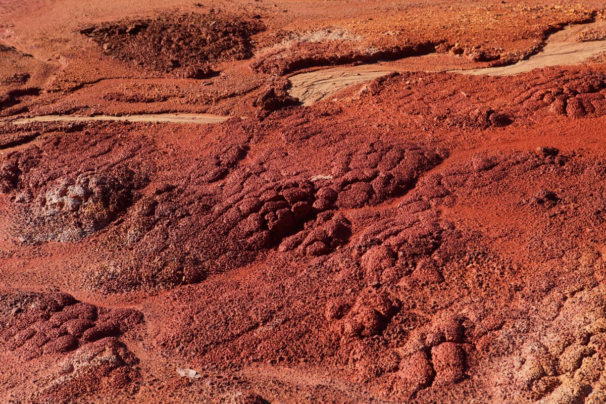 Photography – Margaret Boozer