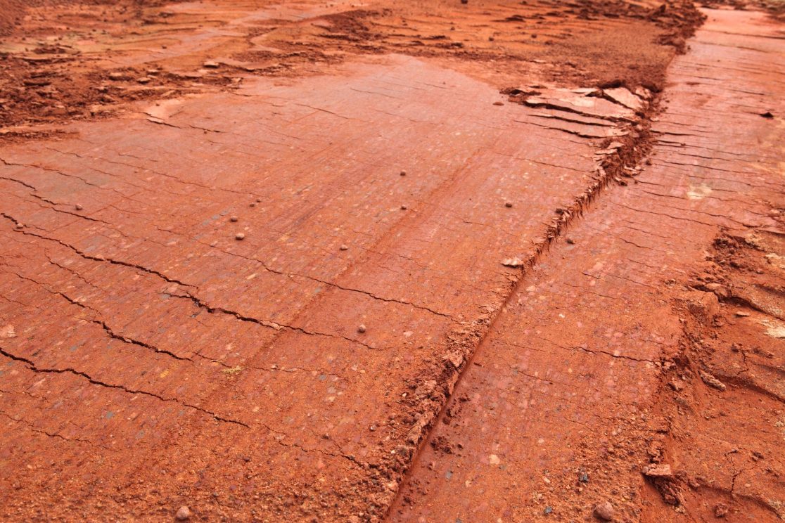 Photography – Margaret Boozer