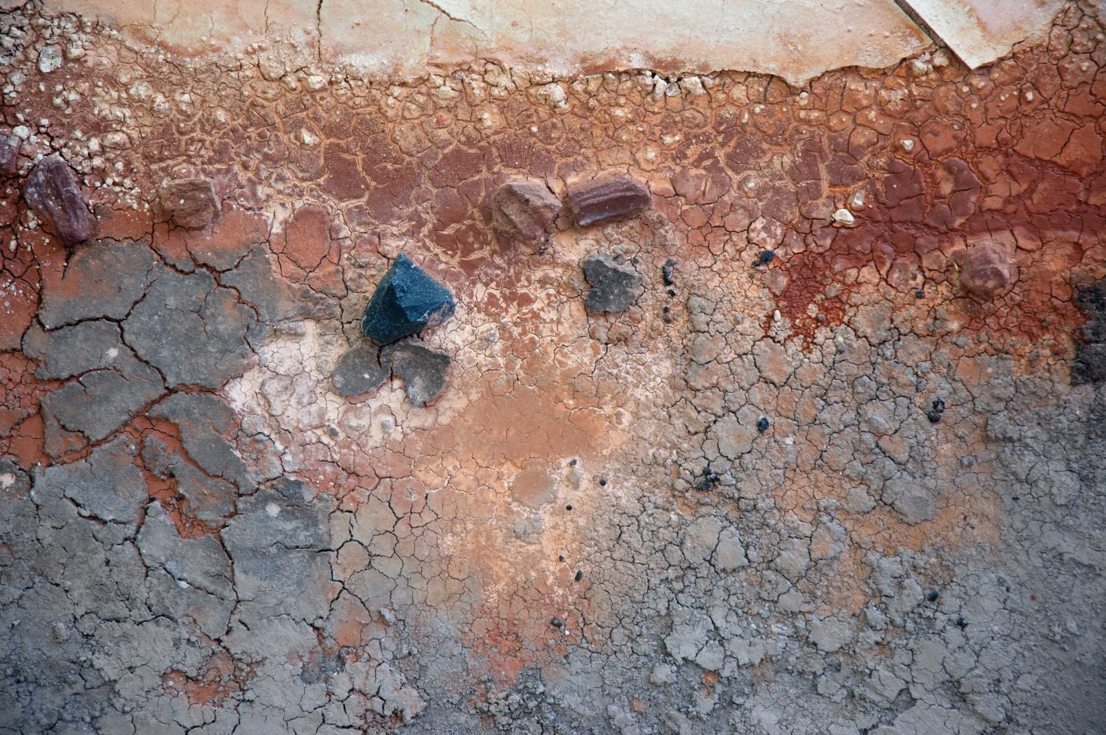 2014 Tiber Creek and Other Lost Things – Margaret Boozer