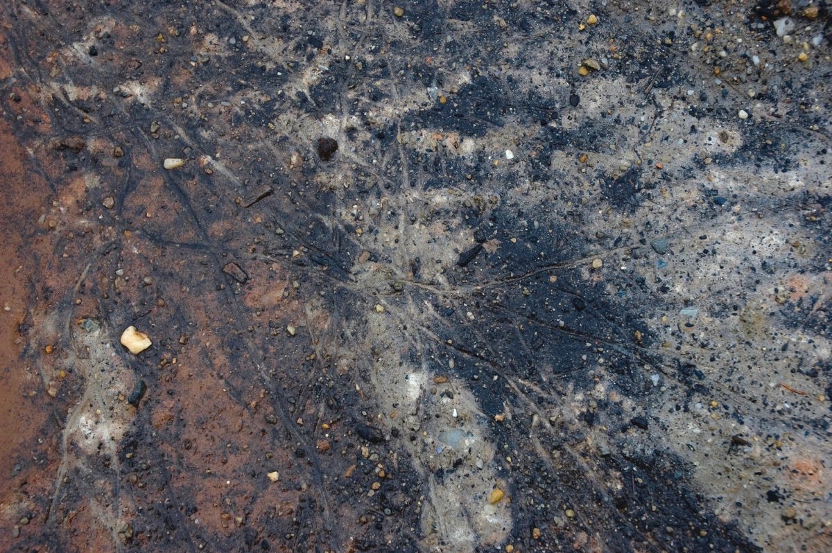 Photography – Margaret Boozer