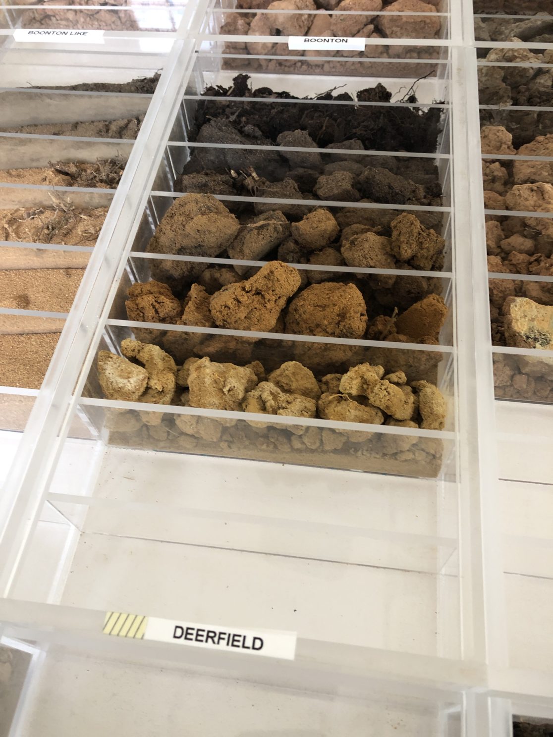 2019-2025 ongoing, Urban Soils Room at Governors Island – Margaret Boozer