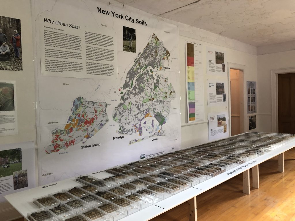 2019-2025 ongoing, Urban Soils Room at Governors Island – Margaret Boozer